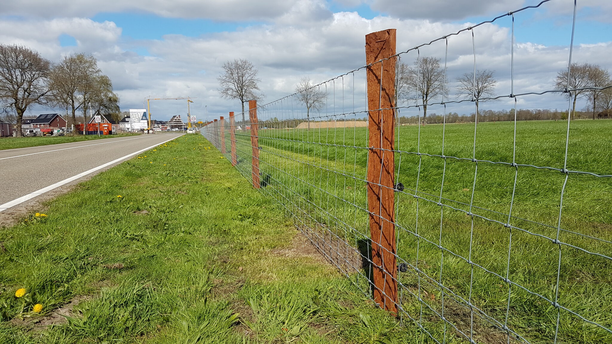 Schapengaas - DS Afrasteringen