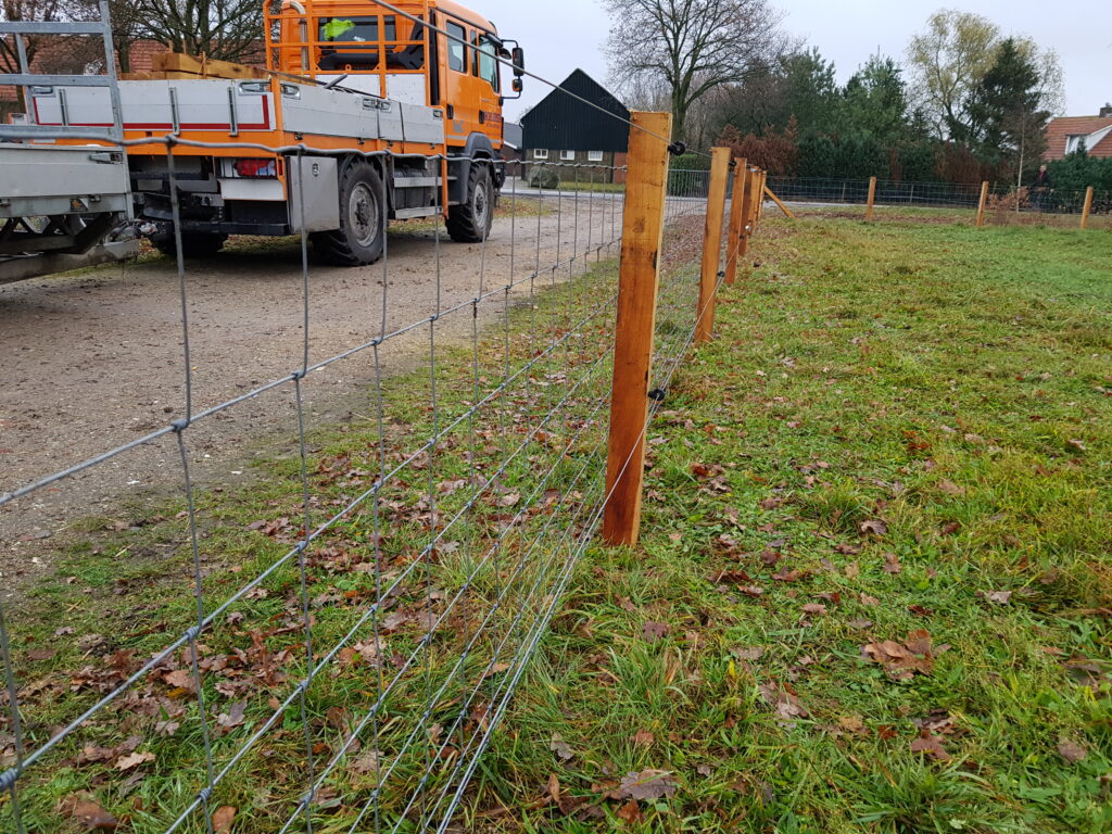 Schapengaas - DS Afrasteringen